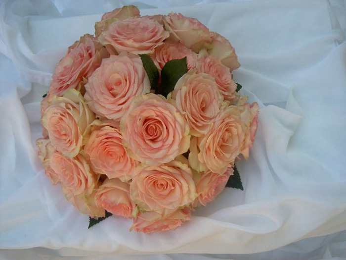 Åse Decor 035 511 50